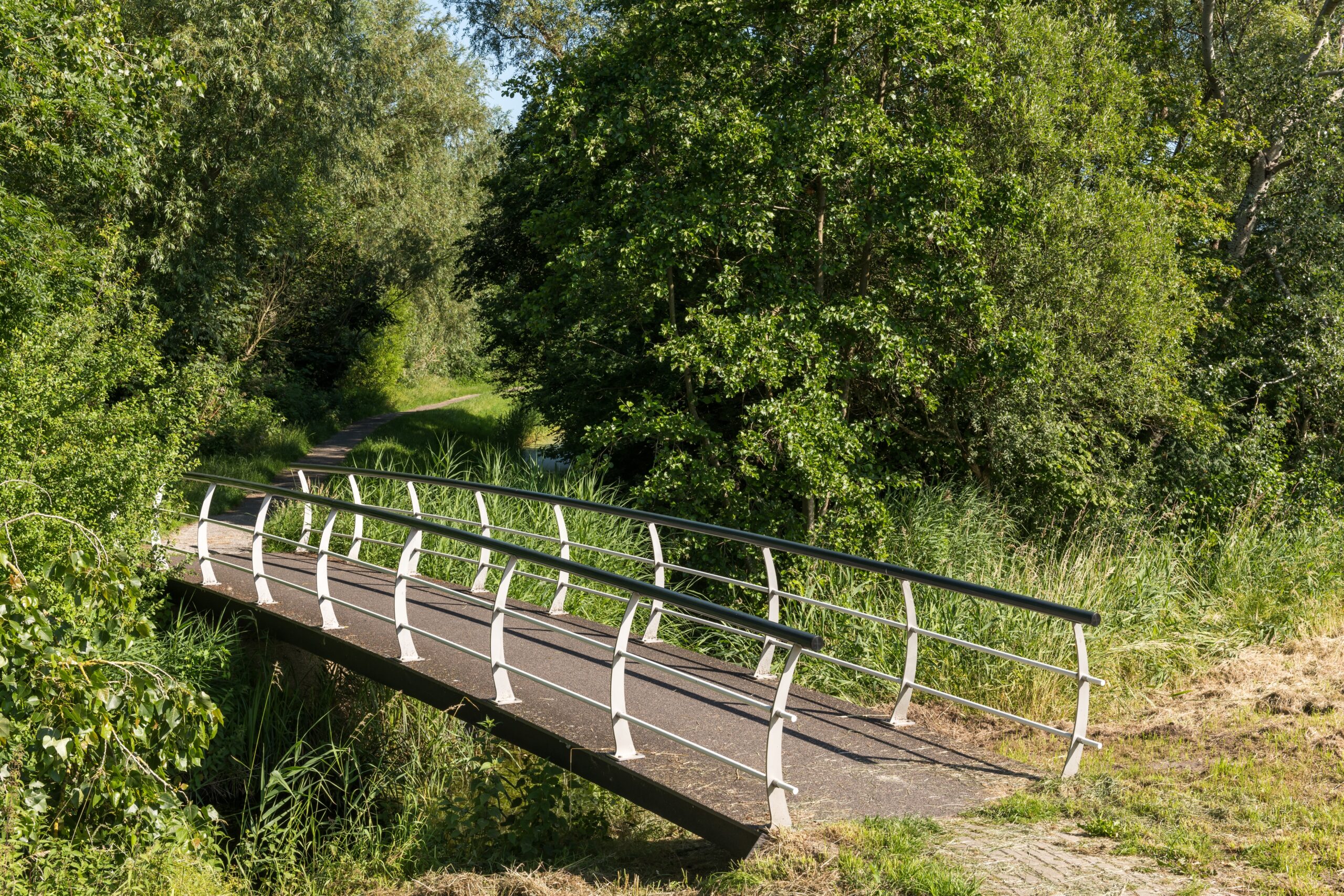 Purmerend orders eighty bridges made of plastic composite - FiberCore ...